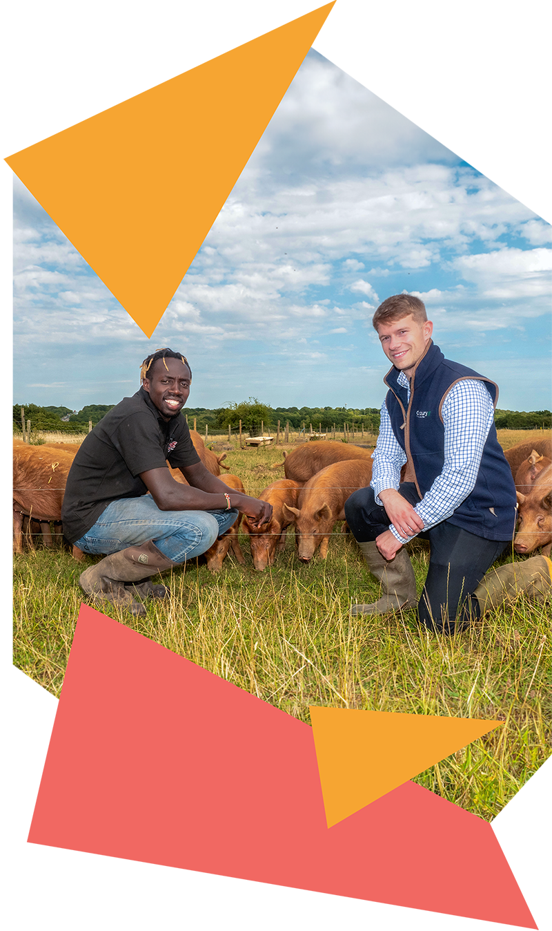 Oxbury New Gen | Oxbury